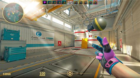 How To Raise The Trust Factor In Ks Go And What Is It