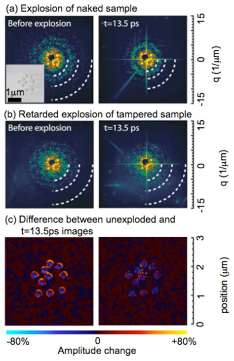 Measured Far Field Diffraction Patterns And Reconstructed Structures Download Scientific