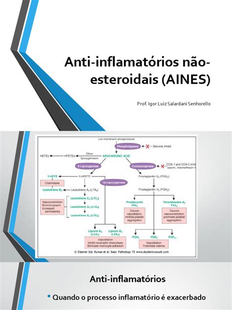 Anti Inflamatórios Não Esteroidais Aines Parte Ii 2023 2 Pdf