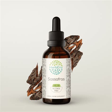 Sassafras Alcohol Free Herbal Extract Tincture Super Concentrated Organic Sassafras Sassafras Sassafras Alcohol Free Herbal Extract Tincture Super Concentrated Organic Sassafras Sassafras