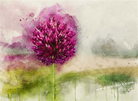 Garlic Sex Bozeman MT GroEat Garlic Sex Bozeman MT GroEat