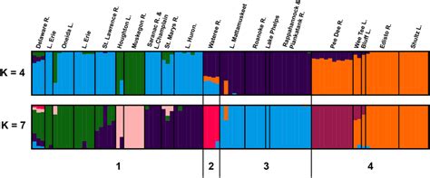 Results Of Admixture Analysis For K 4 Cv Error 025 And K 7 Cv