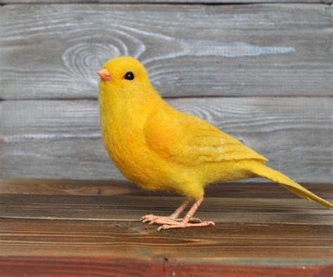 Nadel gefilzt Vögel Kanarienvogel Skulptur realistische Etsy