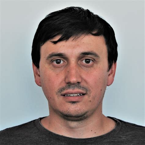 adrian cornel popa senior project manager vitesco technologies ag