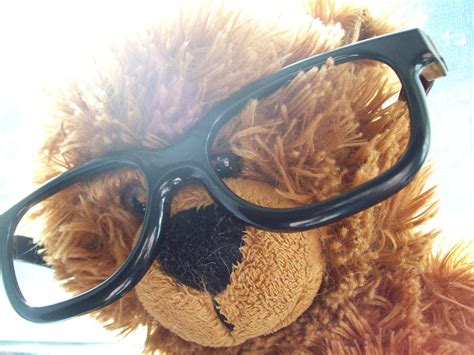 Nerd Bear By Lillybee15 On Deviantart