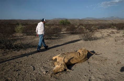 Un Informe Muestra A San Juan Y La Rioja Como Las Zonas Más Efectadas