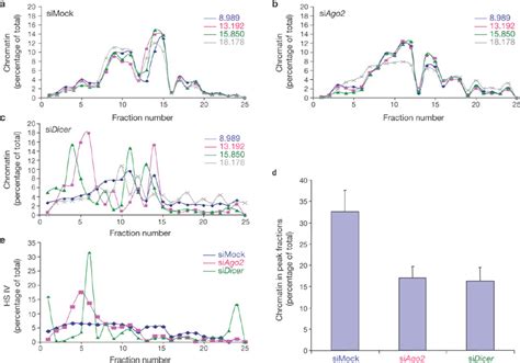 Condensed Chromatin Becomes Accessible To Nuclease Cleavage 72 H Post