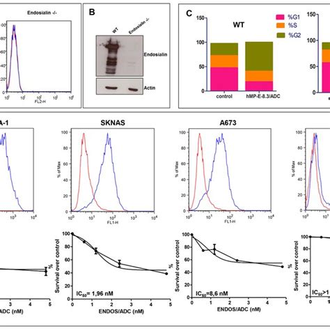 Endos Adc In Vitro Cytotoxic Activity Correlates With Endosialin