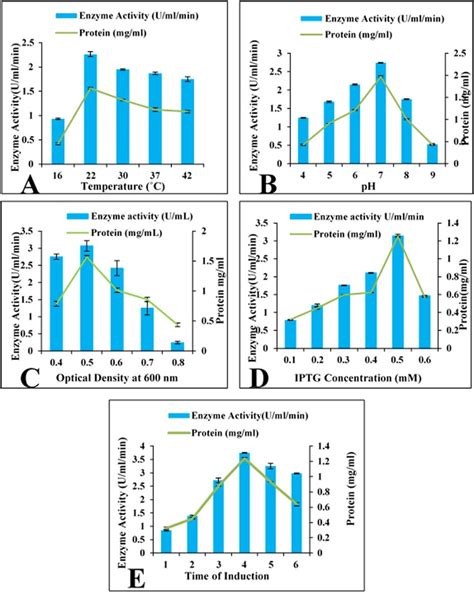 Optimization Of Cloned Esterase Gene Expression A Incubation
