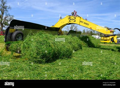 Rowing Up Grass With A Roc Rt880 Sward Merger Which Puts Grass Into