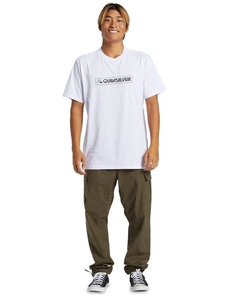 Quiksilver Modern Clicker Short Sleeve Tee In White Myer
