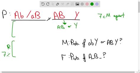 SOLVED Genes A And B Are Sex Linked And Are 7 Map Units Apart On The X Chromosome Of Drosophila