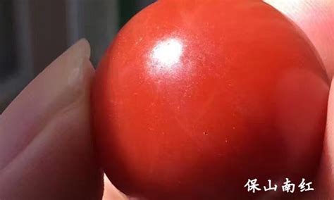 每日一學保山南紅和涼山南紅的主要不同之處 每日頭條