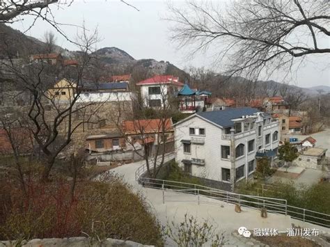 一月显变化 半年变大样 全年见成效淄川区农村人居环境整治村容村貌变靓 澎湃号政务 澎湃新闻 The Paper
