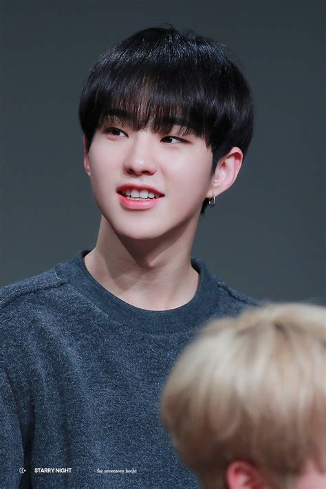 Hoshi SEVENTEEN Hoshi Seventeen Seventeen Hoshi