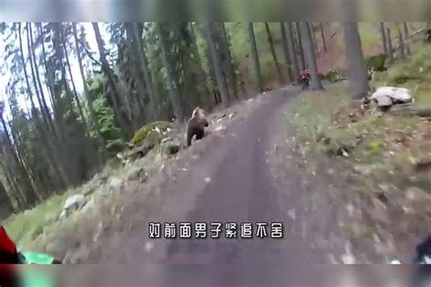 2名男子在野外骑行，怎料遭到500斤棕熊袭击，“激烈搏斗”2分钟棕熊袭击男子