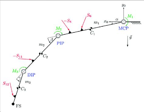 Dynamic Model Of The Unconstrained Finger The Finger Joints Are Download Scientific Diagram