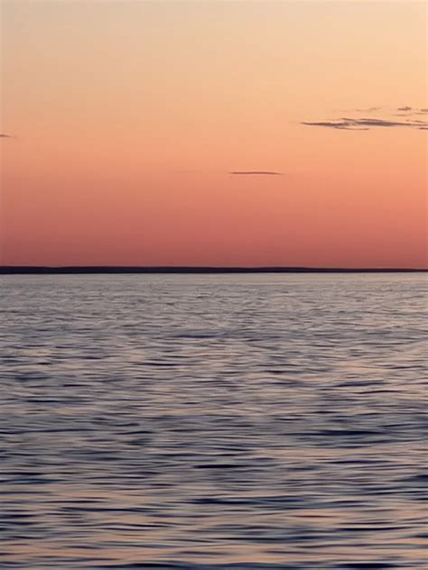 Small Stream Reflections