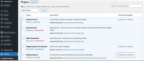 How To Update WooCommerce Step By Step Guide
