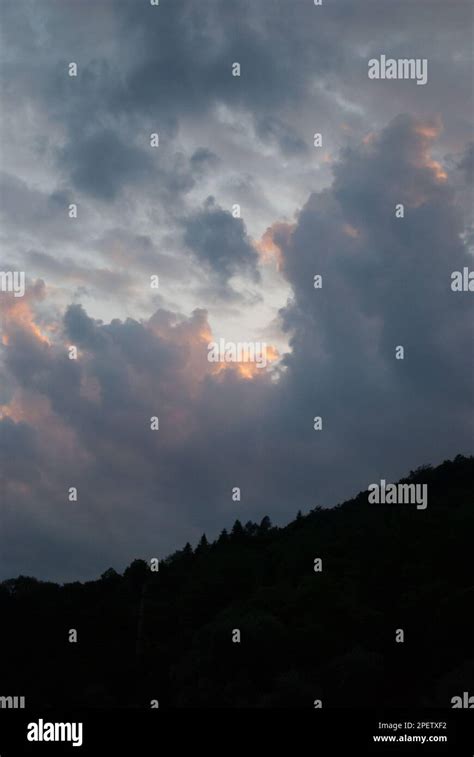 View On Forest Under Sunset Sky Stock Photo Alamy