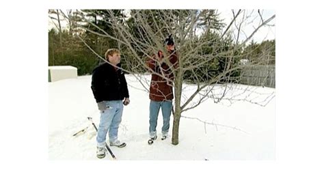 Подготвят се разсадите от домати и пипер Български Фермер