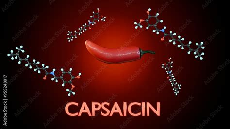 A 3d Rendering Of Red Chili Showcase The Molecular Structure Of Capsaicin The Compound