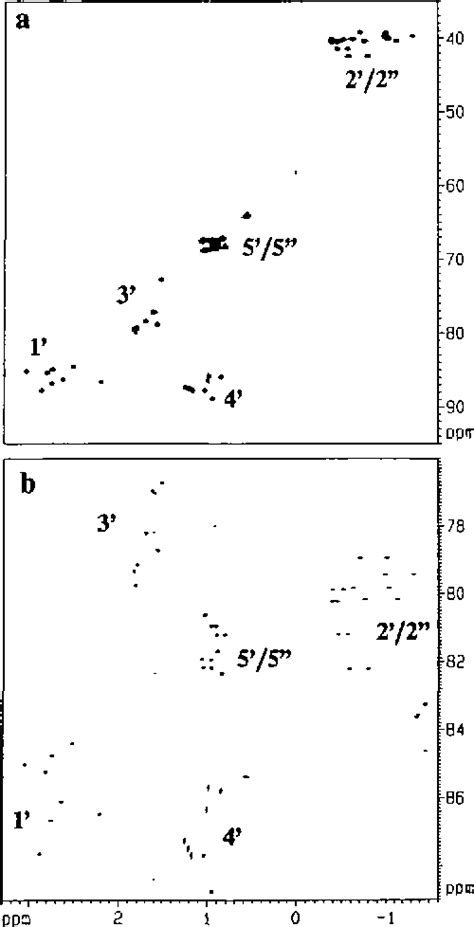 Figure 1 From Heteronuclear Nmr Of Dna With The Heteronucleus In