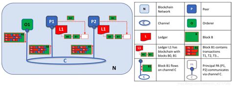 Hyperledger Fabric架构详解 Csdn博客