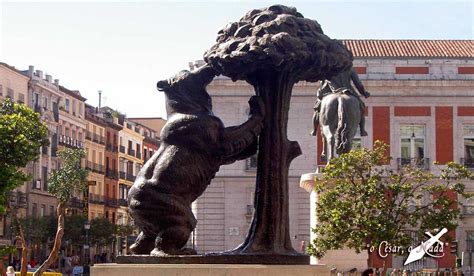 El oso y madroño escudo madrileño por ley