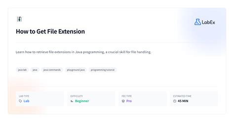 How To Get File Extension Labex