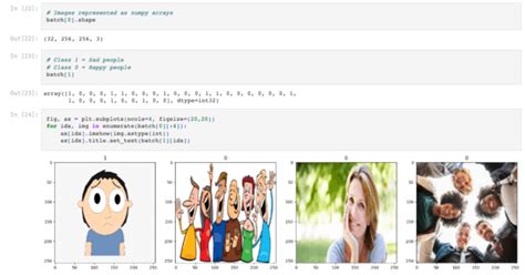 Image Classification Project Felix Gomez Guillamon