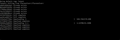 Docker Containers Updates Are Very Slow If Not Impossible General