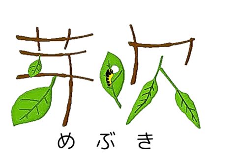 利用案内 芽吹通所介護