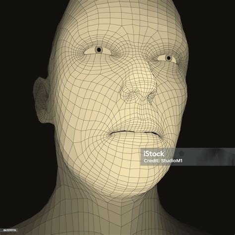 3 차원 격자에서 사람의 머리입니다 인간의 머리 모델을 연결합니다 인간의 다각형 머리입니다 얼굴 검색입니다 인간의 머리의 보기입니다 3d 형상 얼굴 디자인입니다 3d 다각형
