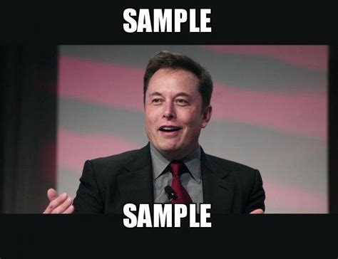 Sample Sample Elon Musk Meme Generator