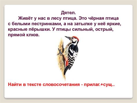 Имя прилагательное Общее значение имен прилагательных и их