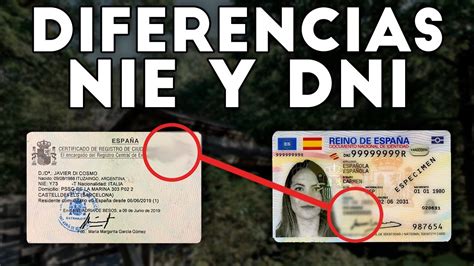 Diferencias Entre El Nif Y El Nie Decide Burgos