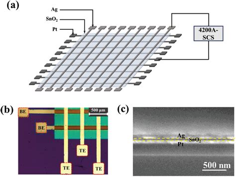 A Self‐organizing Map Spiking Neural Network Based On Tin Oxide