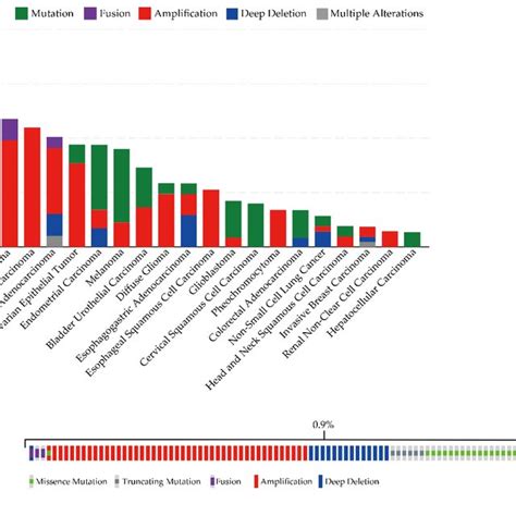The Strengths Weaknesses Opportunities And Threats Swot Analysis Download Scientific