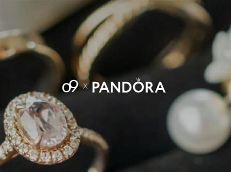 오나인솔루션즈 판도라에 디지털브레인 플랫폼 구축 Zdnet Korea