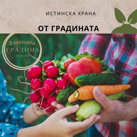 Златната Градина Доставка на плодове и зеленчуци гр Варна Added A New