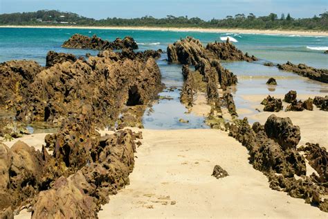 What Is The Intertidal Zone