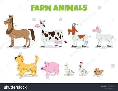 Didactic Farm Over 3 Royalty Free Licensable Stock Illustrations