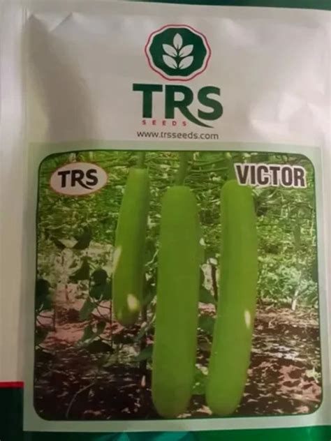Hybrid 50 Gm Trs Green Bottle Gourd Seed Packaging Type Packet