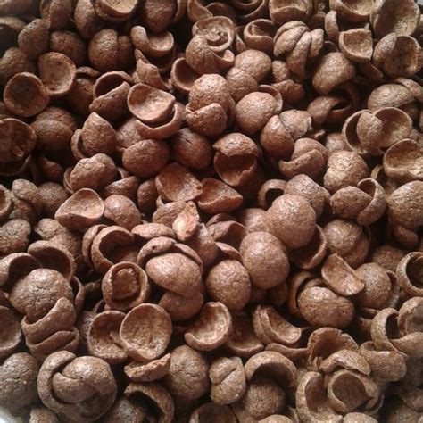 Coco Crunch Ciko Chocolate 1kg Shopee Philippines