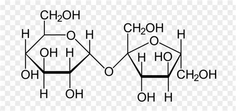 Small Intestine Sucrose Structural Formula Molecule Fructose Molecular