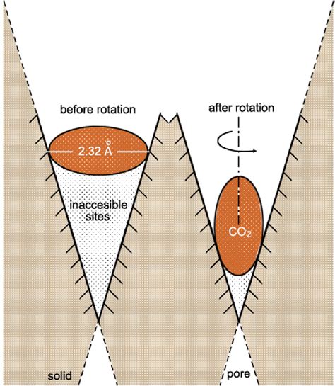 Schematic Representation Of The Effect Of Rotation On The Sites Download Scientific Diagram