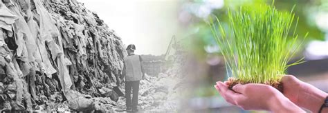 The Speculative Part Of The Process Biodesign Approaches For Fabricating Textiles Barbara