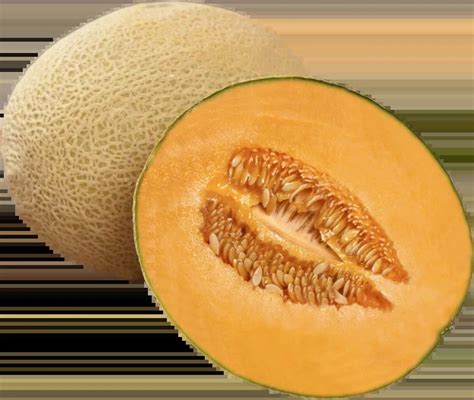 Диня Флоренція купити онлайн замовити в магазині Varus