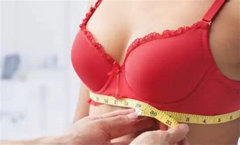 Bra Size Calculator In Cm How To Measure Bra Size Chart